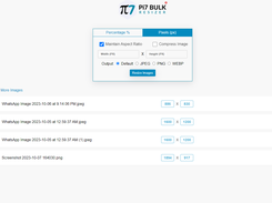 Pi7 Bulk Resizer Reviews - 2025